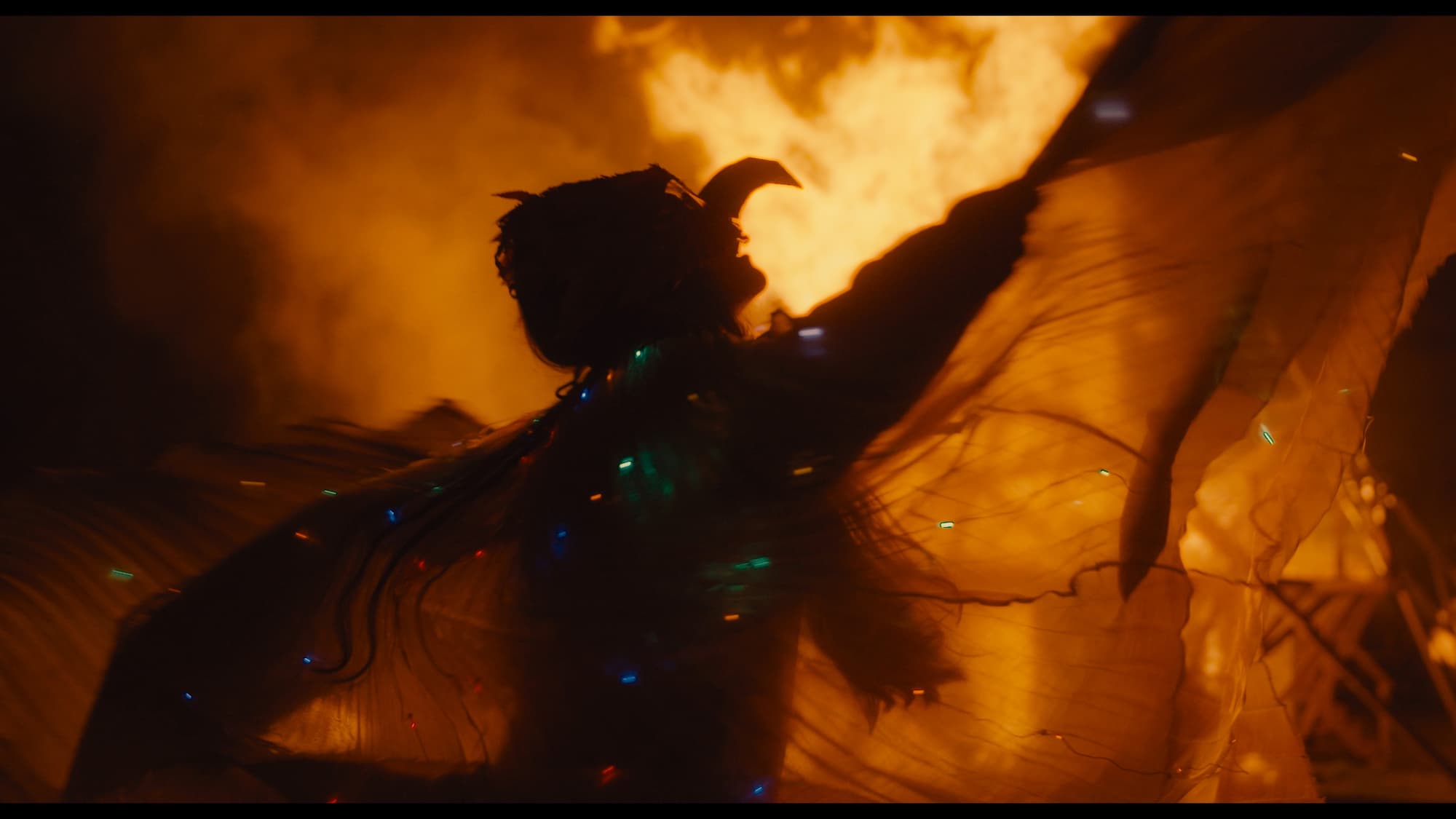 Behind the Pitch: Colleen Brady and "Firebird" – The Film Fund